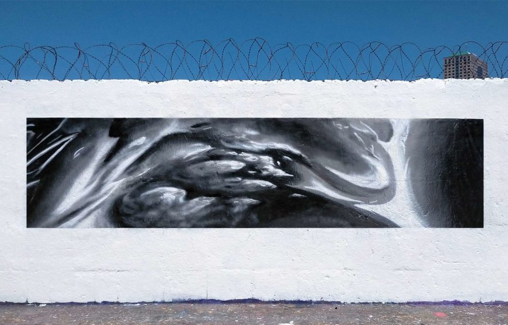 CAMILLE GENDRON | Art urbain | PALMA